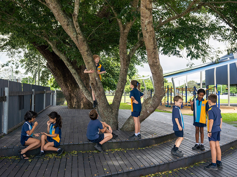 Also in this section