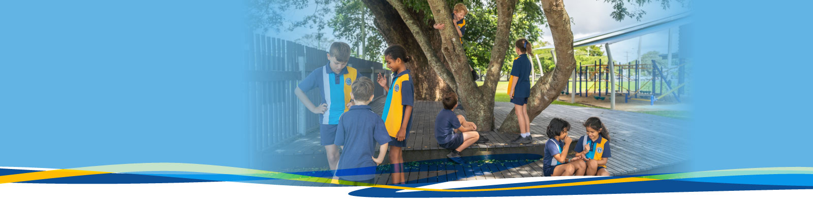 Welcome to our school