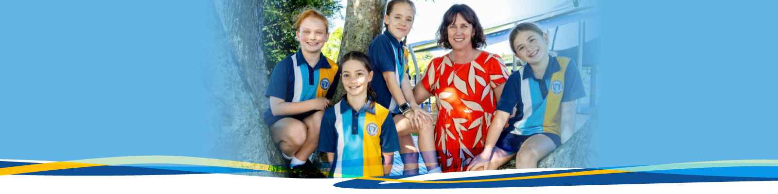 Welcome to our school